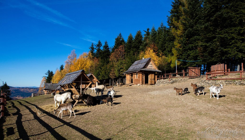 Fotografia reklamowa dla Hotelu&Spa Beskidzki Raj
